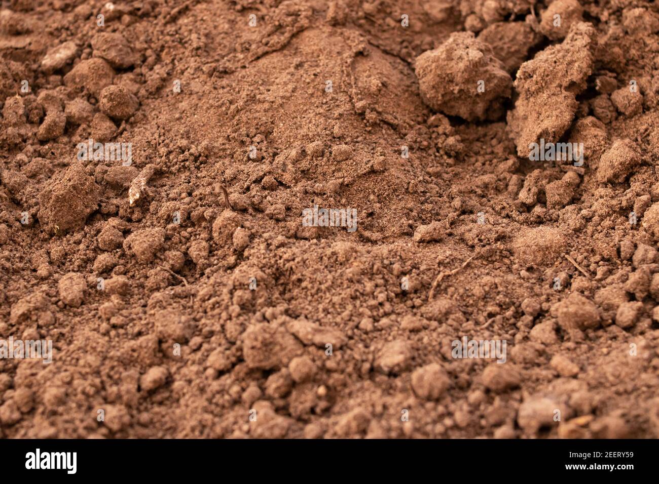Brown ground close up, background for text or texture Stock Photo - Alamy