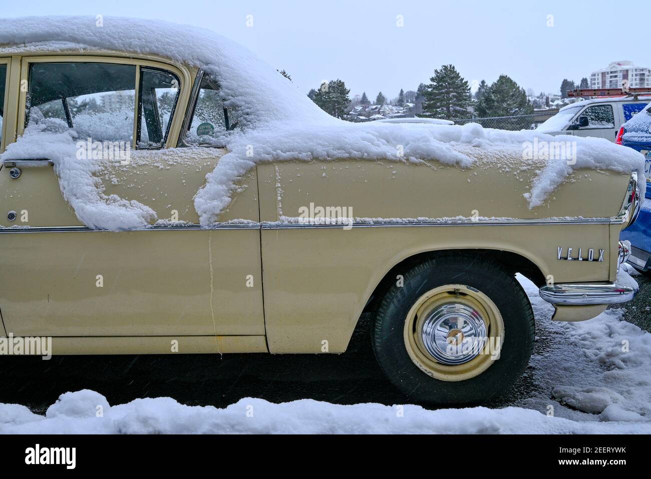 Vauxhall velox hi-res stock photography and images - Alamy