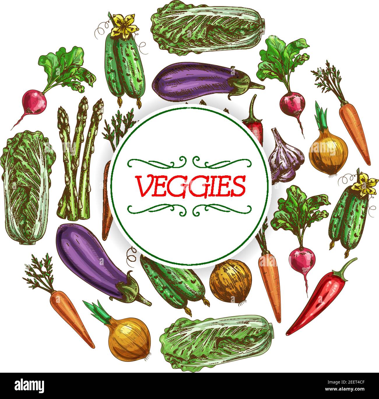 Chinese market cucumber Stock Vector Images - Alamy