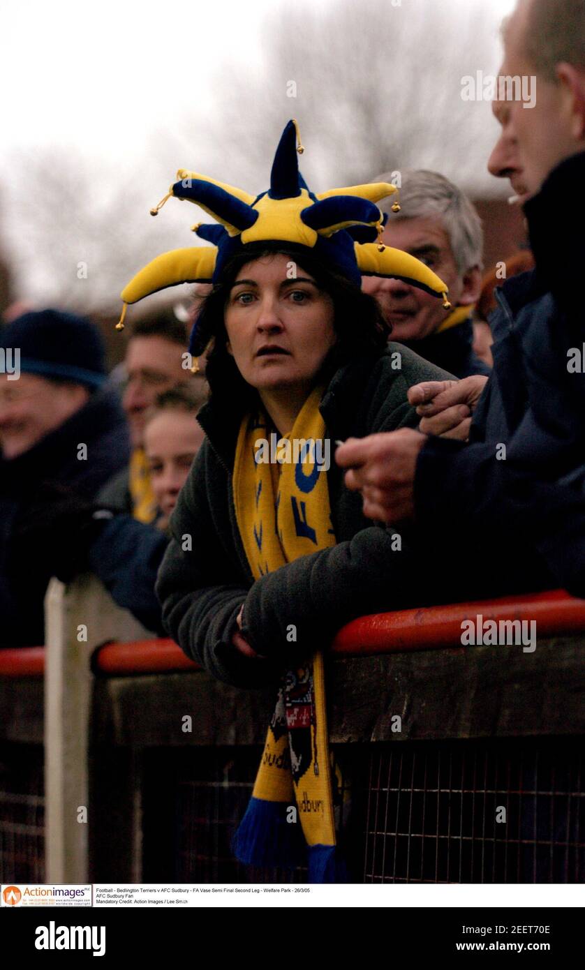Bedlington terriers football hi-res stock photography and images - Alamy