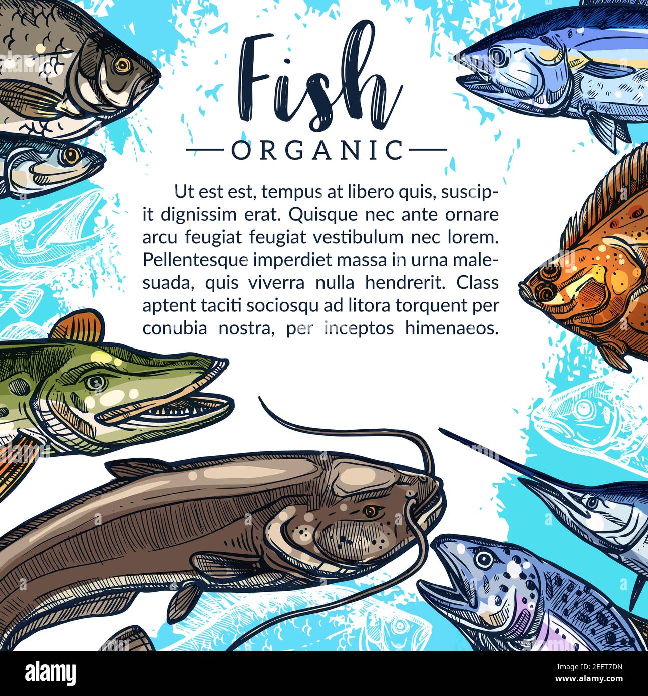 Fresh catch Stock Vector Images - Alamy