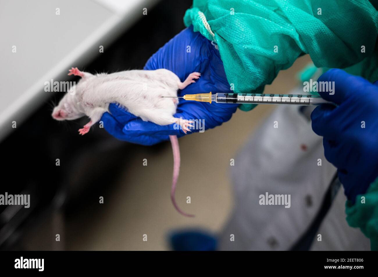 Madrid, Spain. 16th Feb, 2021. A researcher showing how to perform an ...