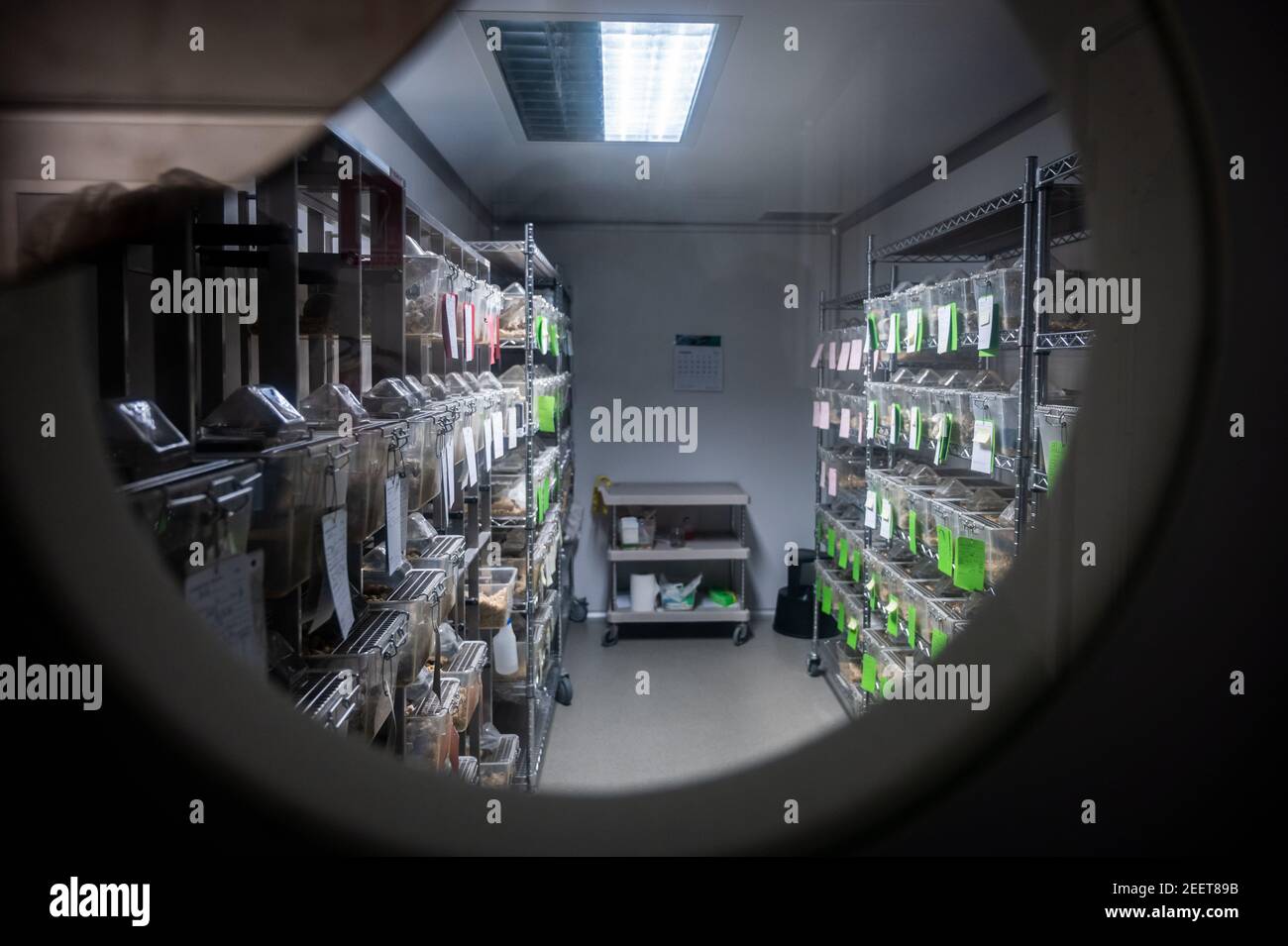 Madrid, Spain. 16th Feb, 2021. View of a chamber in the Animal Facility ...