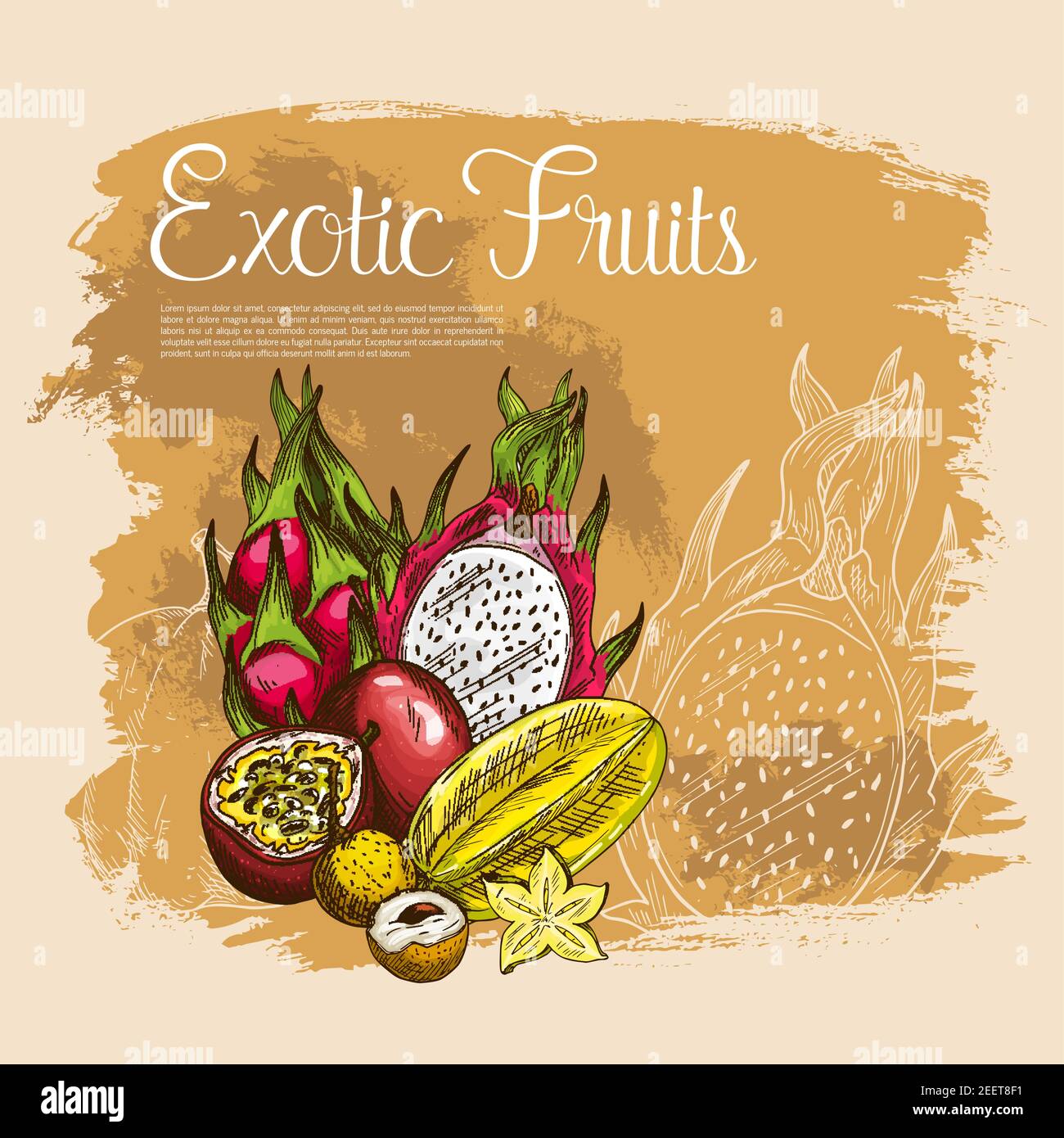 Exotic fruits vector poster of tropical papaya or mango, passionfruit ...