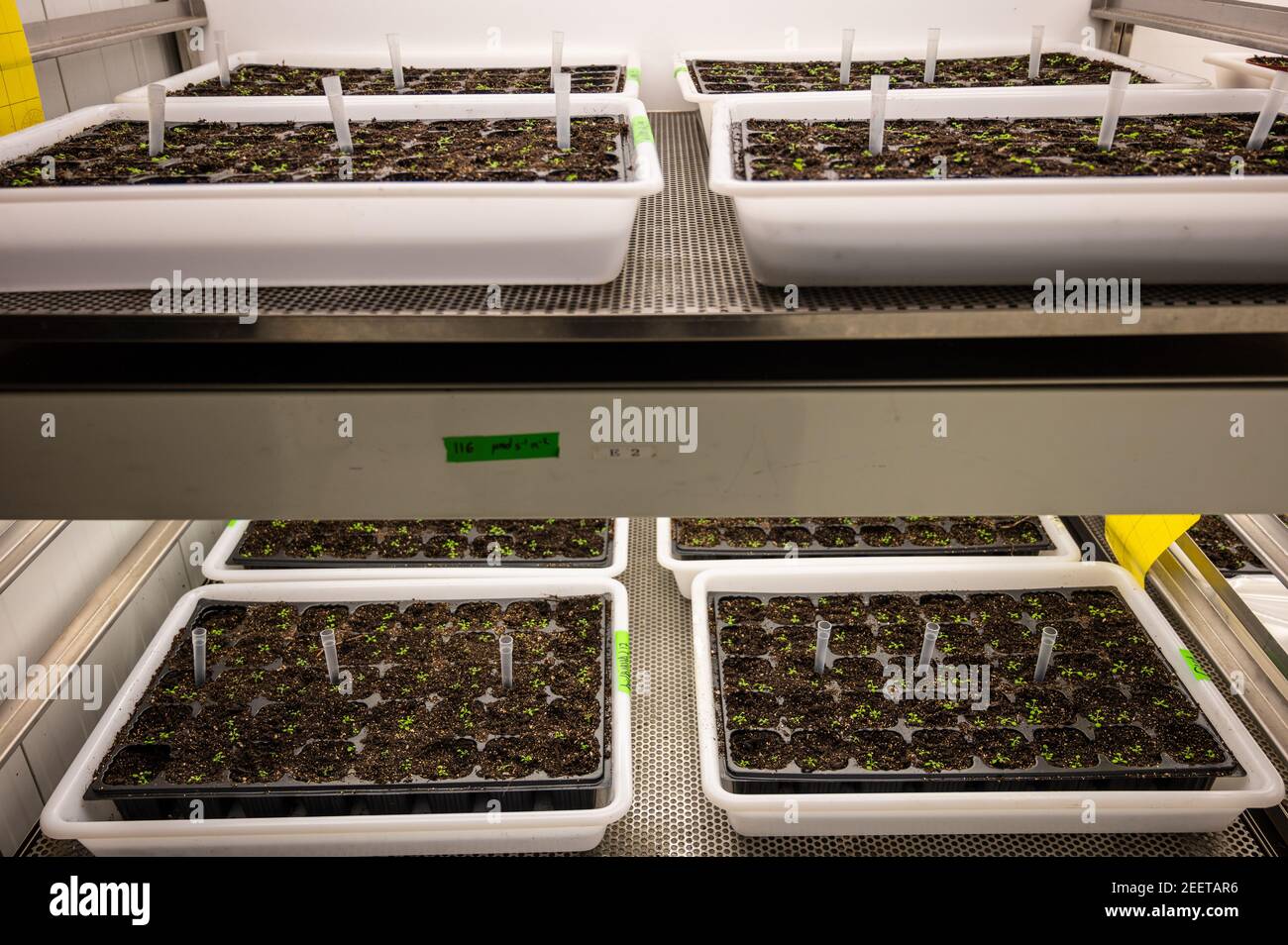 Csic madrid hi-res stock photography and images - Alamy