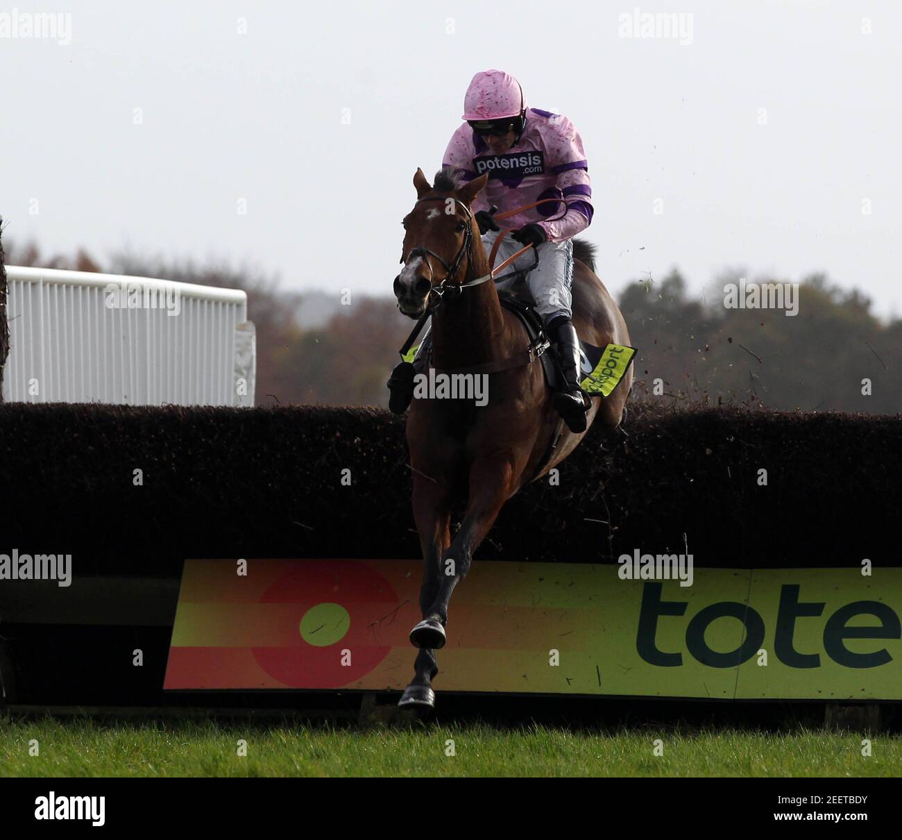Chase at exeter racecourse hi-res stock photography and images - Alamy