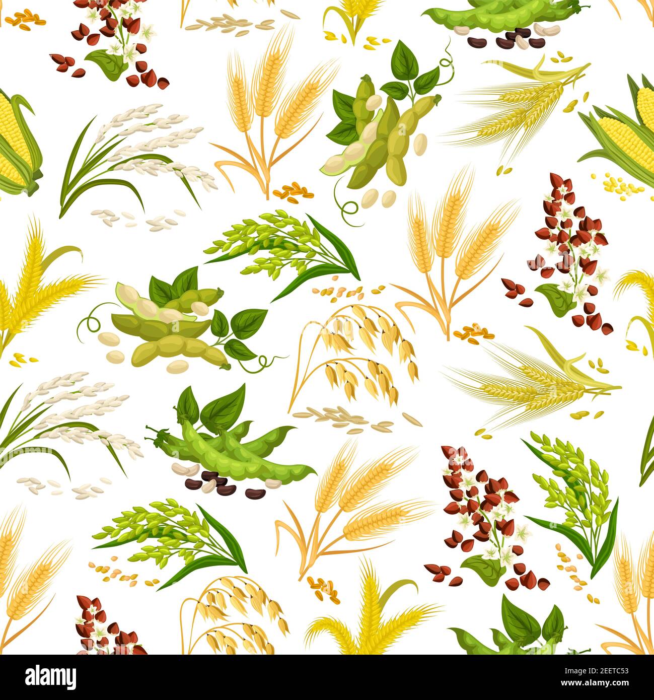 Cereals seamless pattern of wheat and rye ears, buckwheat seeds and oat ...