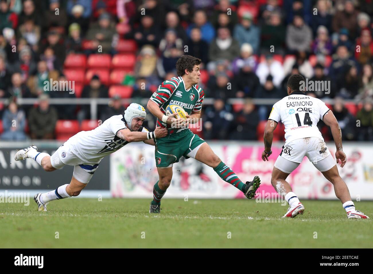 Anthony allen tigers hi-res stock photography and images - Alamy