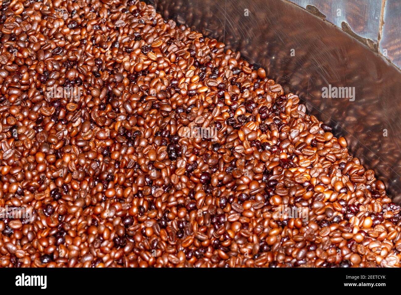 Coffee beans of the Robusta variety of natural roast and "Torrefacto ...
