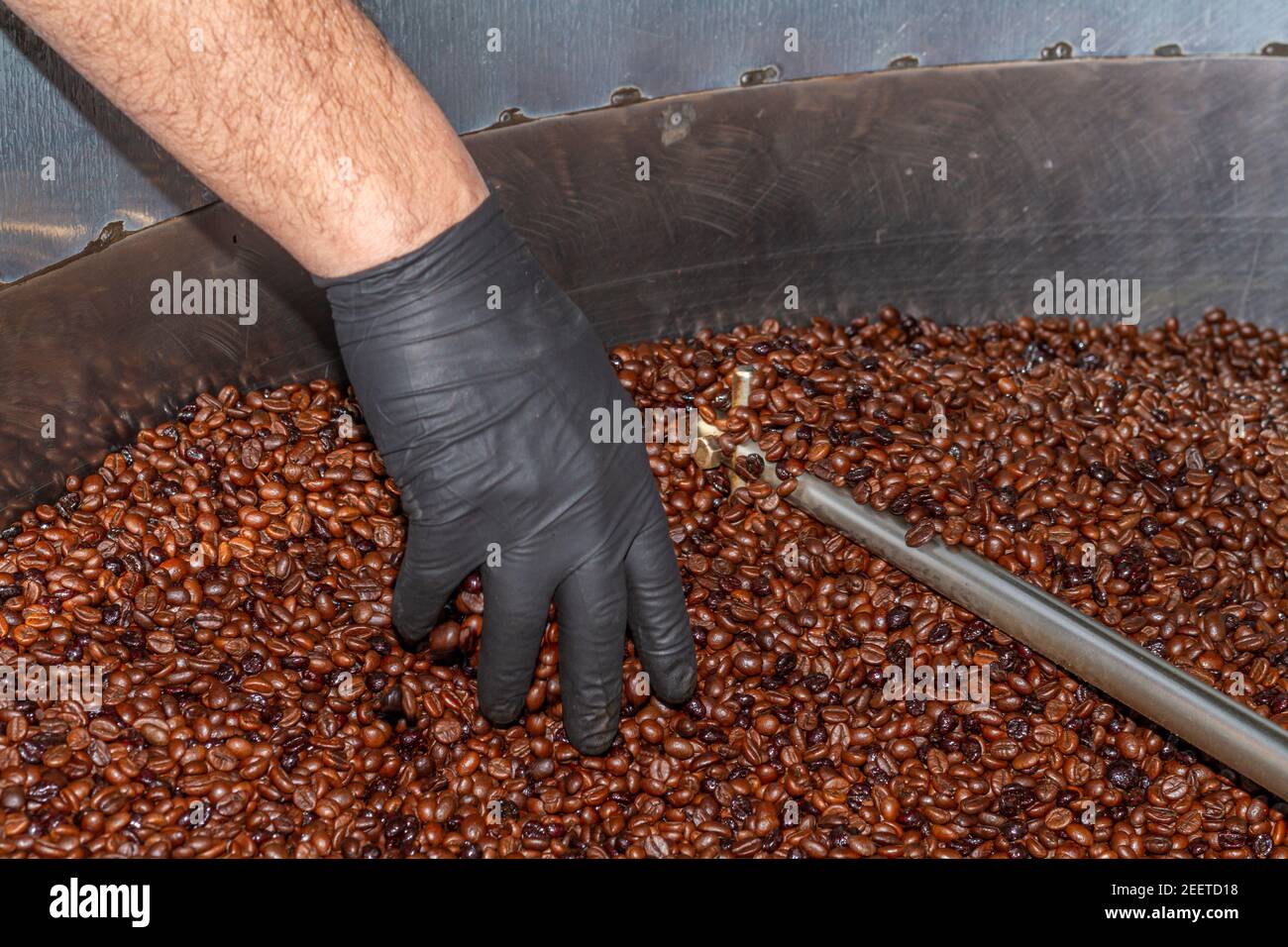 The hand of a man helps the process of mixing the coffee beans from ...