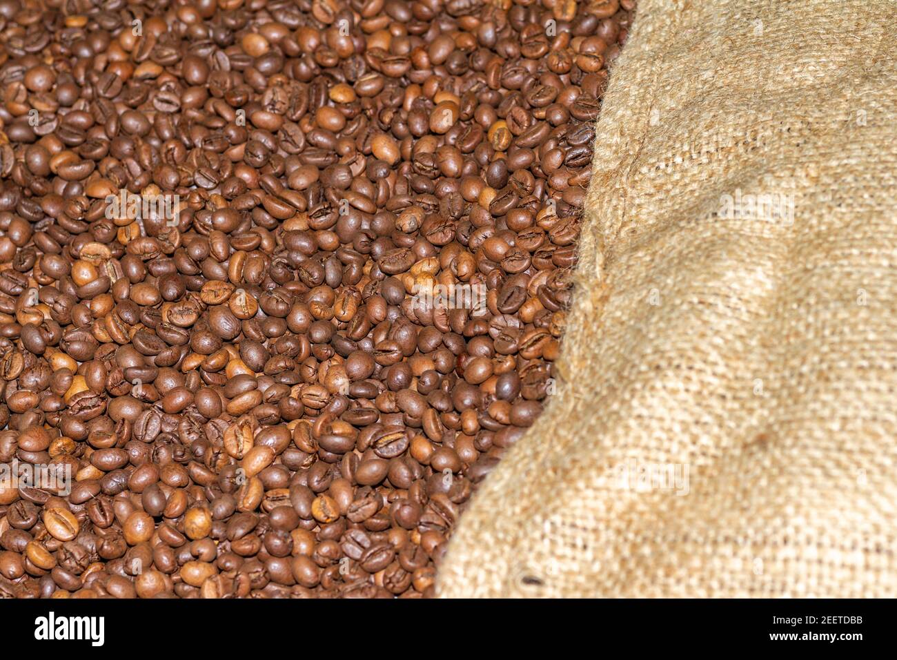 Coffee Beans Bag Texture