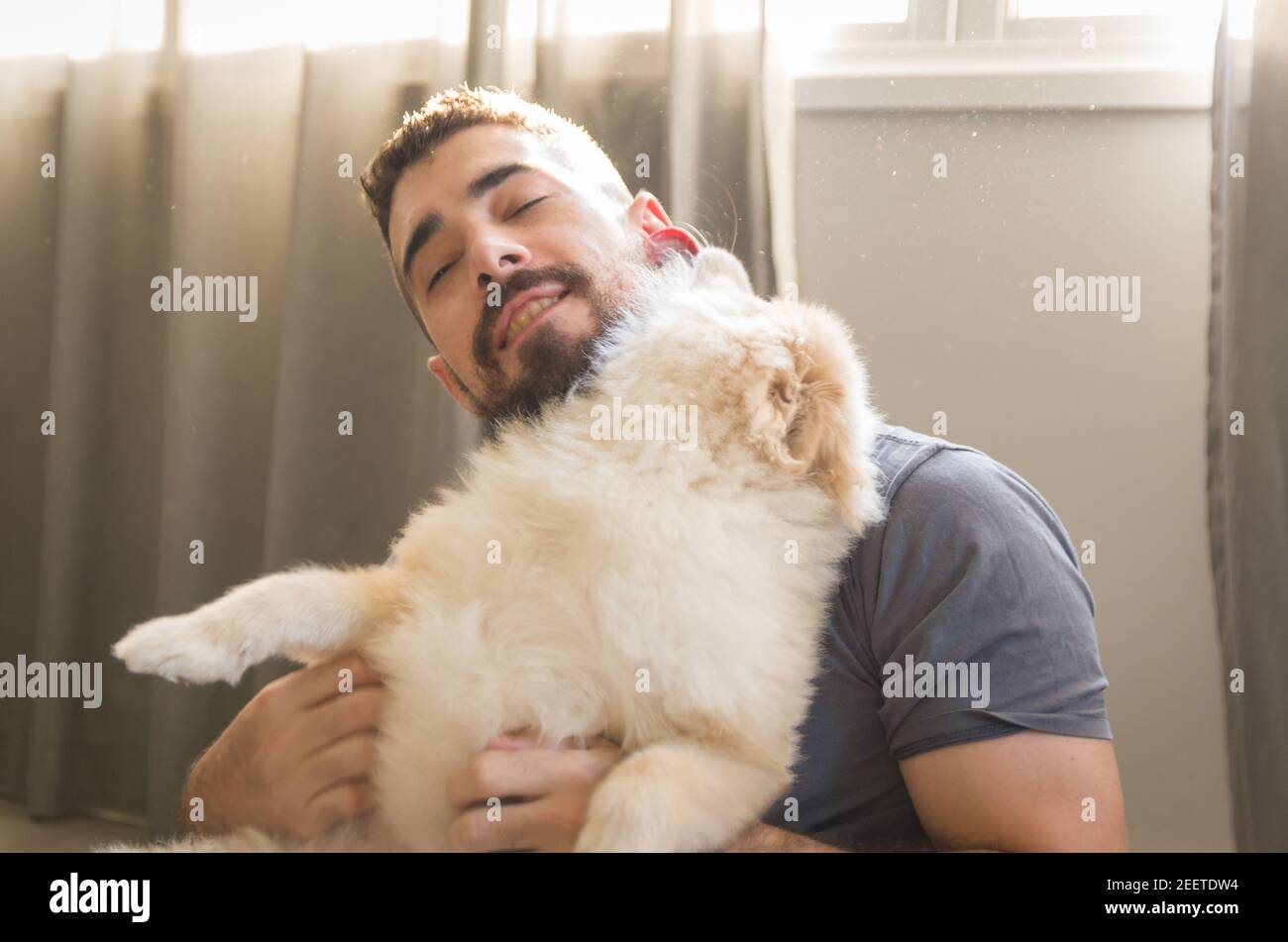 Man playing with his light yellow colored German Spitz dog Stock Photo ...