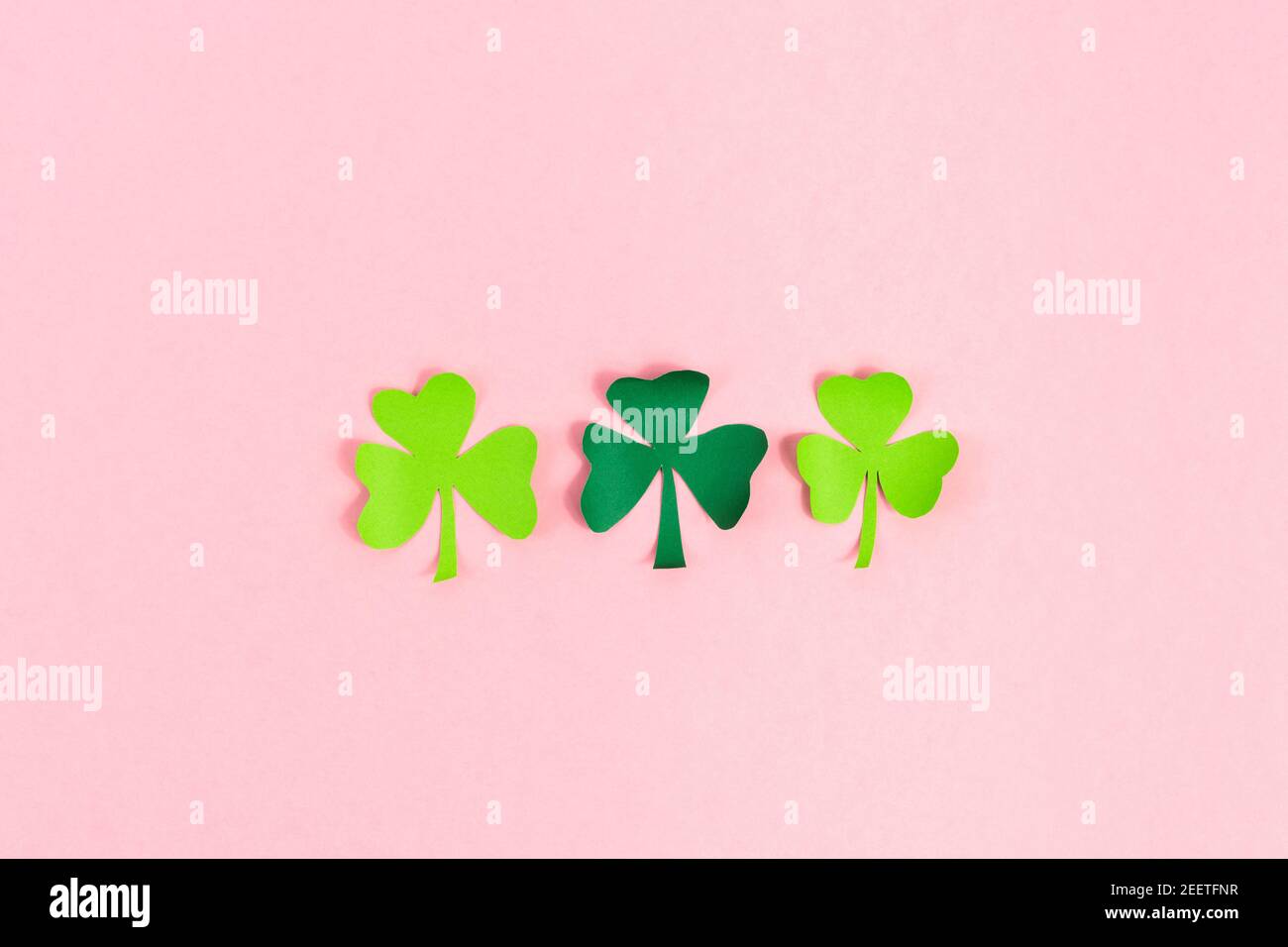 St. Patrick's Day celebration, three shamrocks on pink background. Copy ...