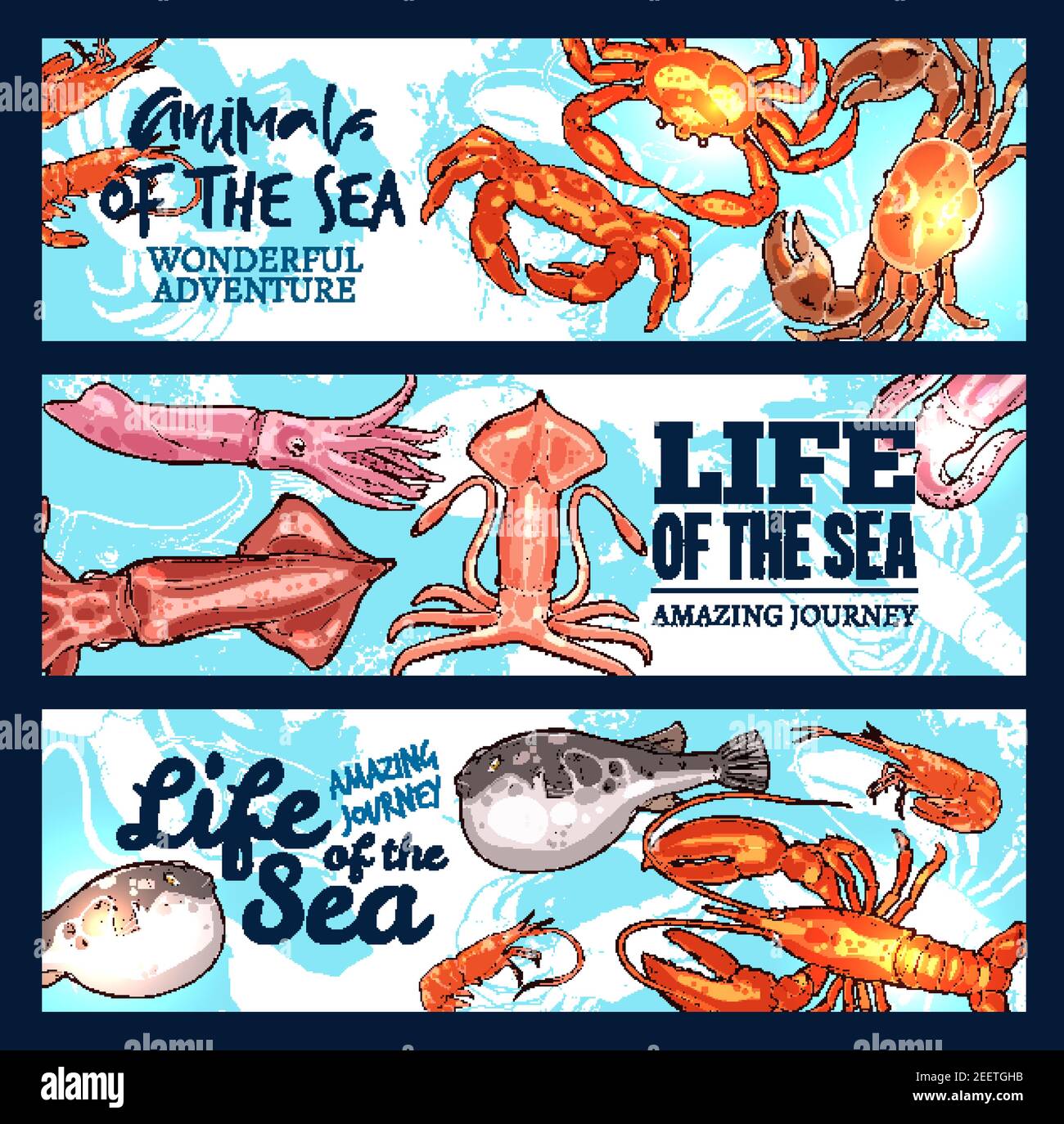 Sea life sketch banners of ocean seafood mollusk or tropical fishes and ...