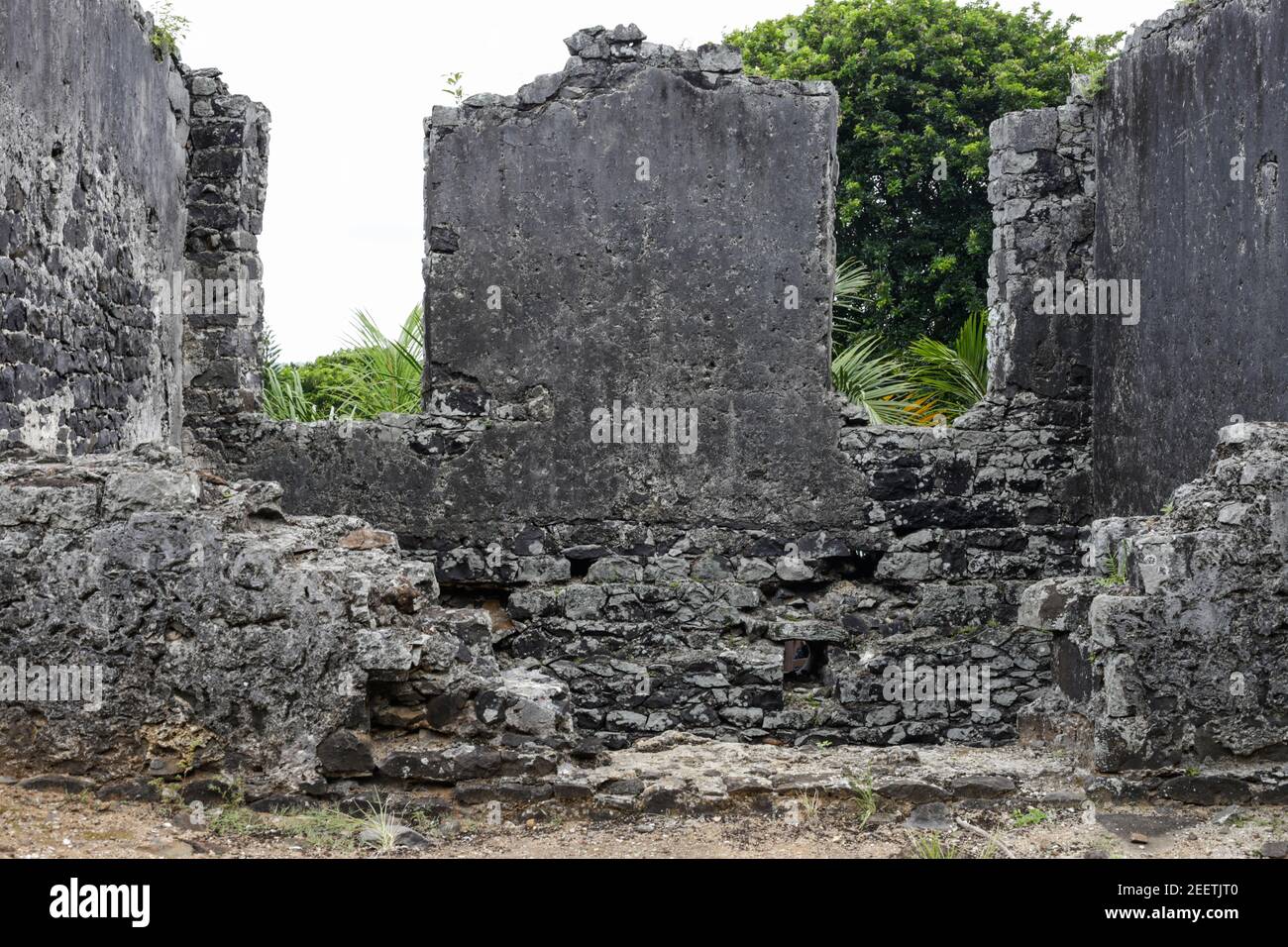 Model of dugong hi-res stock photography and images - Alamy