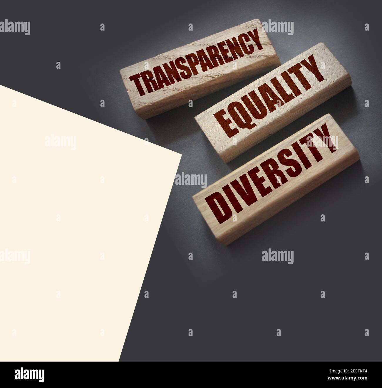 Transparency Equality diversity words on long wooden blocks on black ...