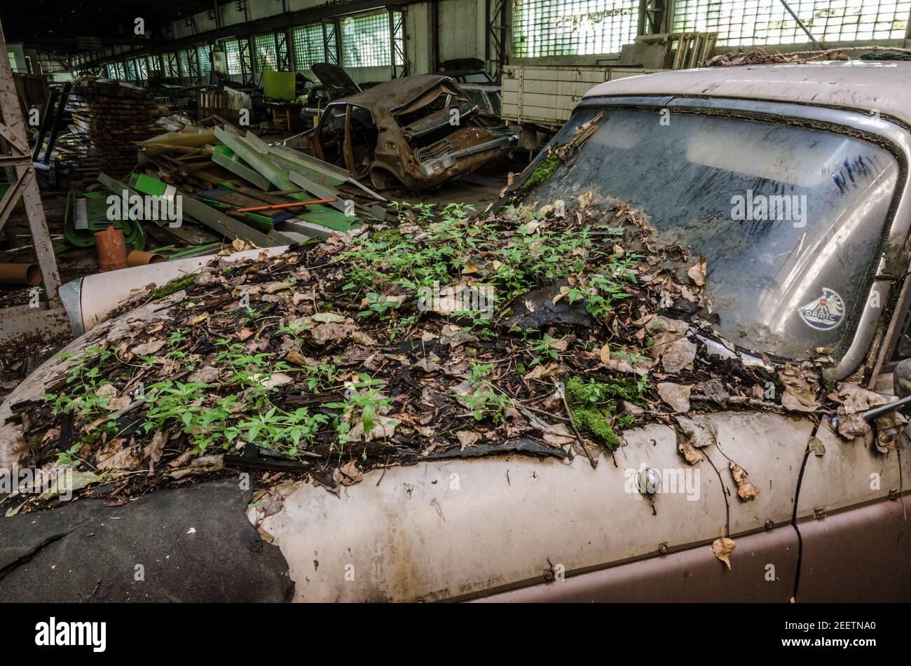 Overgrown cars hi-res stock photography and images - Alamy