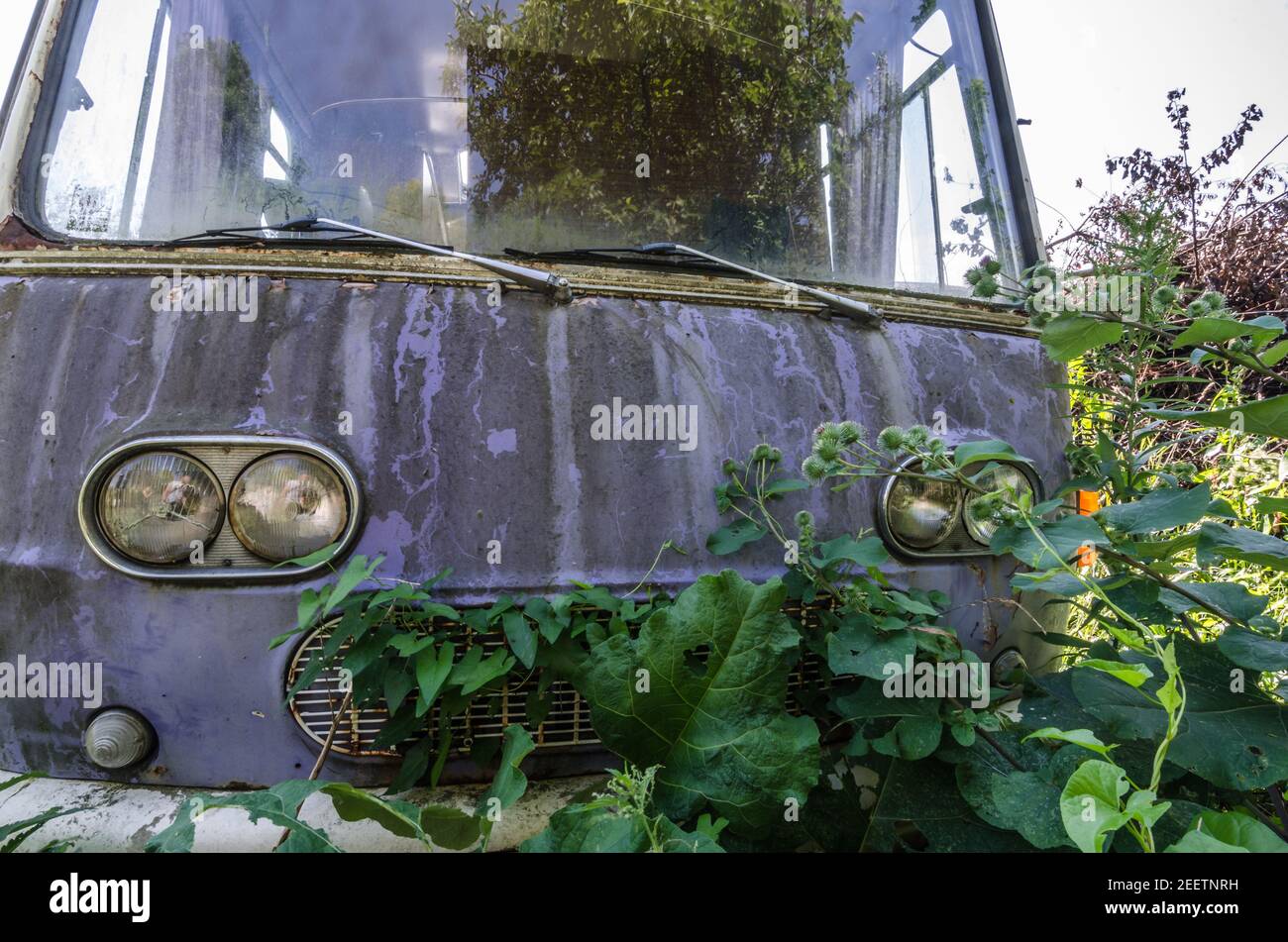 Purple bus hi-res stock photography and images - Alamy