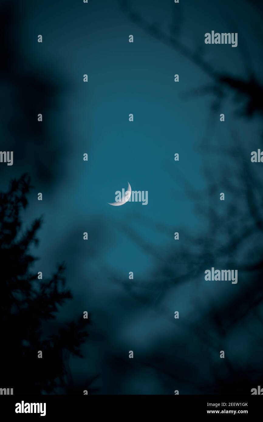 Photos of a starting moon Stock Photo - Alamy