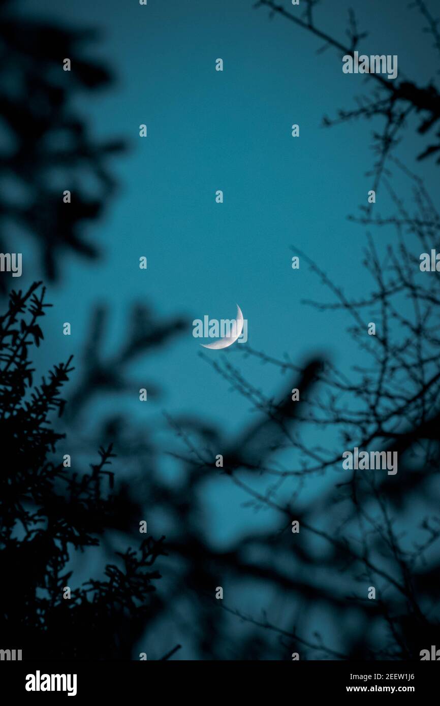 Photos of a starting moon Stock Photo - Alamy