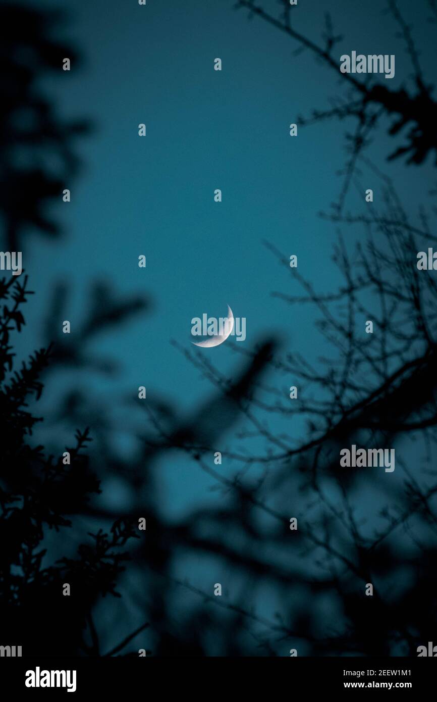 Photos of a starting moon Stock Photo - Alamy