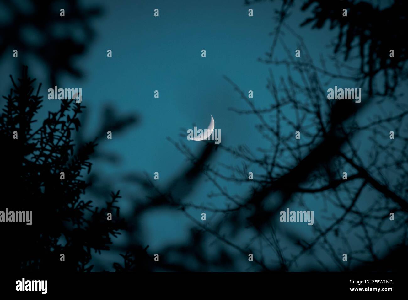 Photos of a starting moon Stock Photo - Alamy