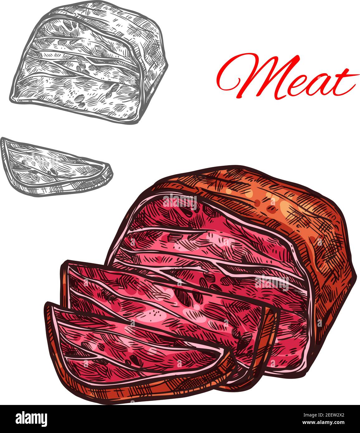 Fresh meat sketch icon of beef brisket steak or pork bacon lump and ...
