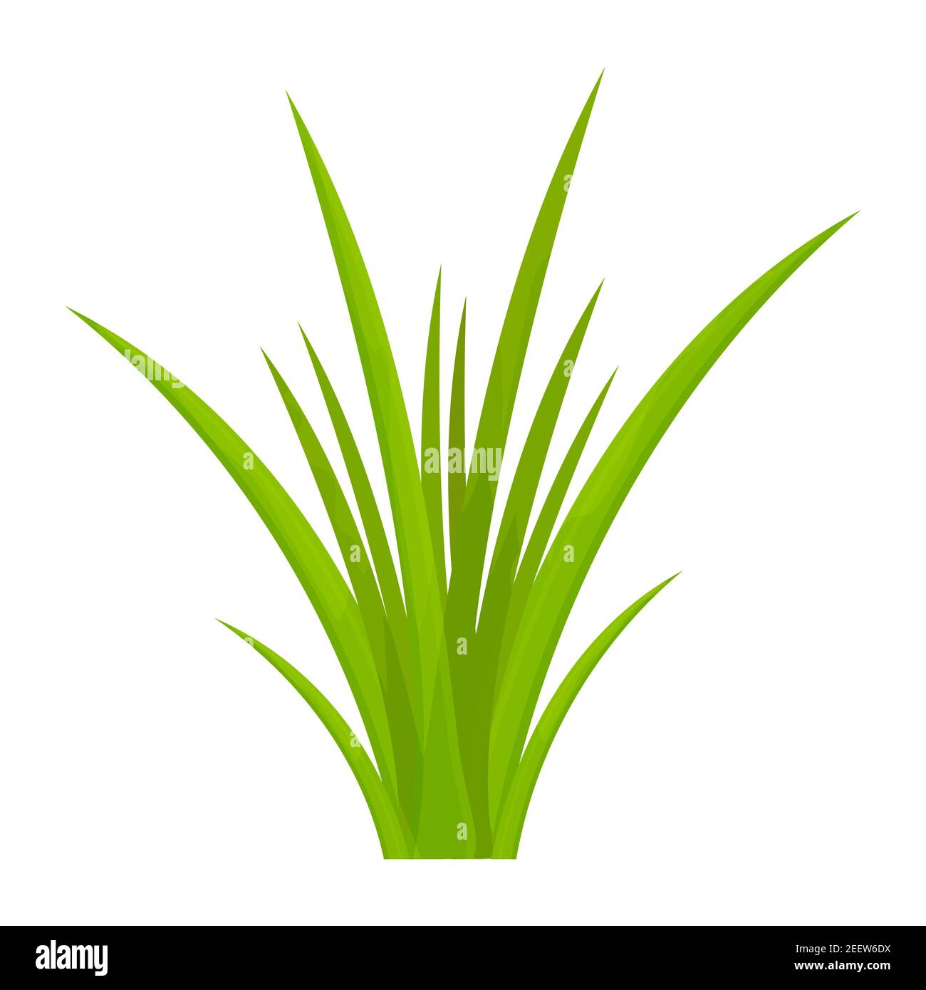 Cartoon Grass Vector
