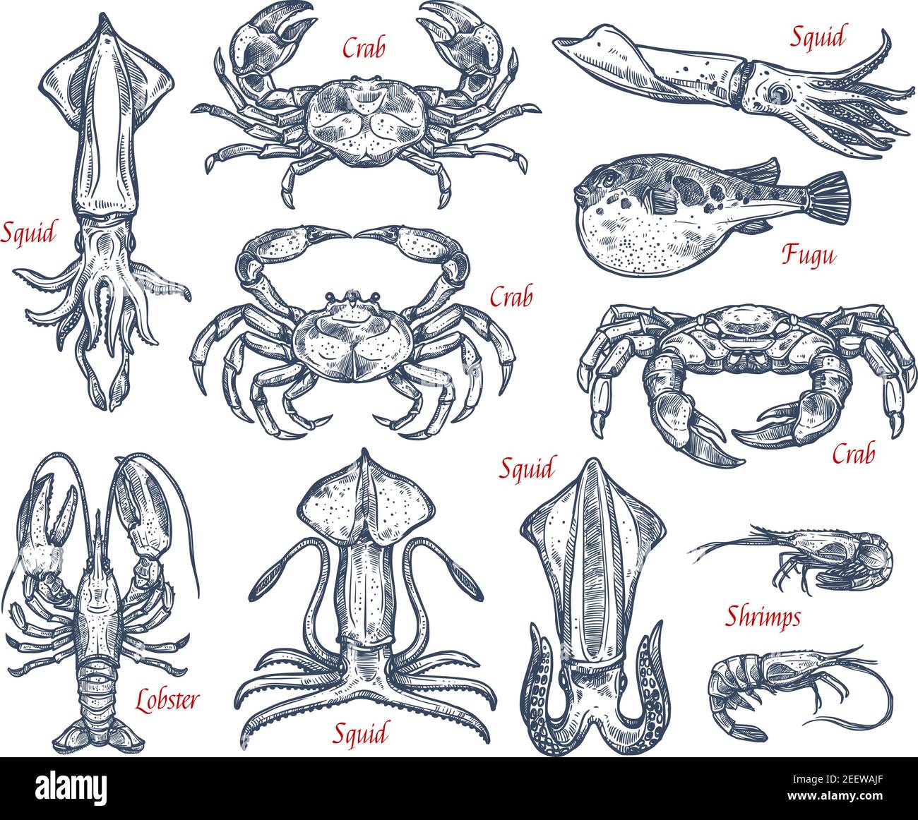 Sea animal, fish and crustacean sketch set. Crab, lobster, fugu fish ...