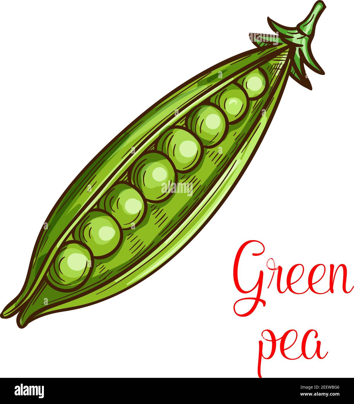 Open marke Stock Vector Images - Alamy