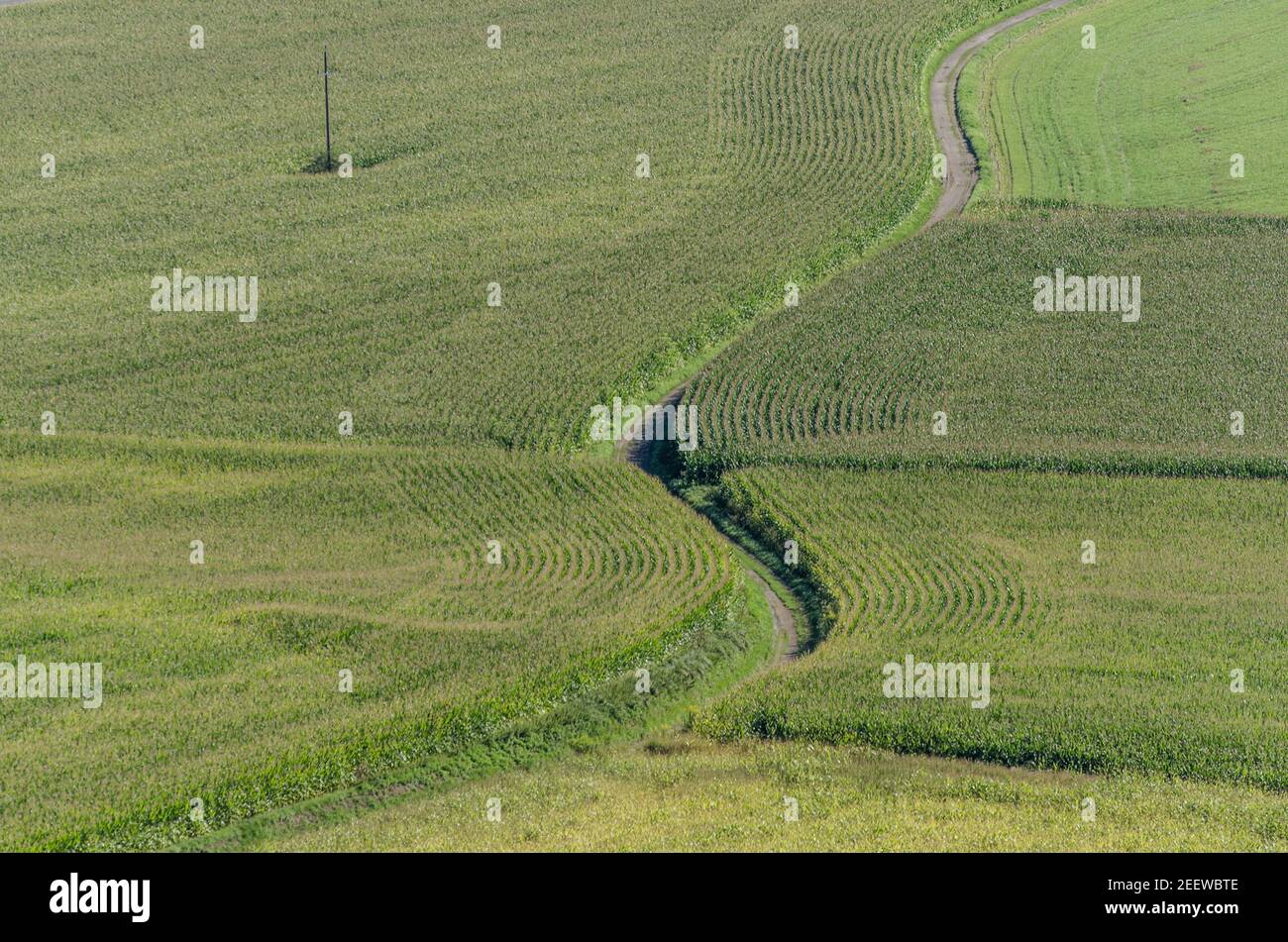 curved path and green fields Stock Photo - Alamy