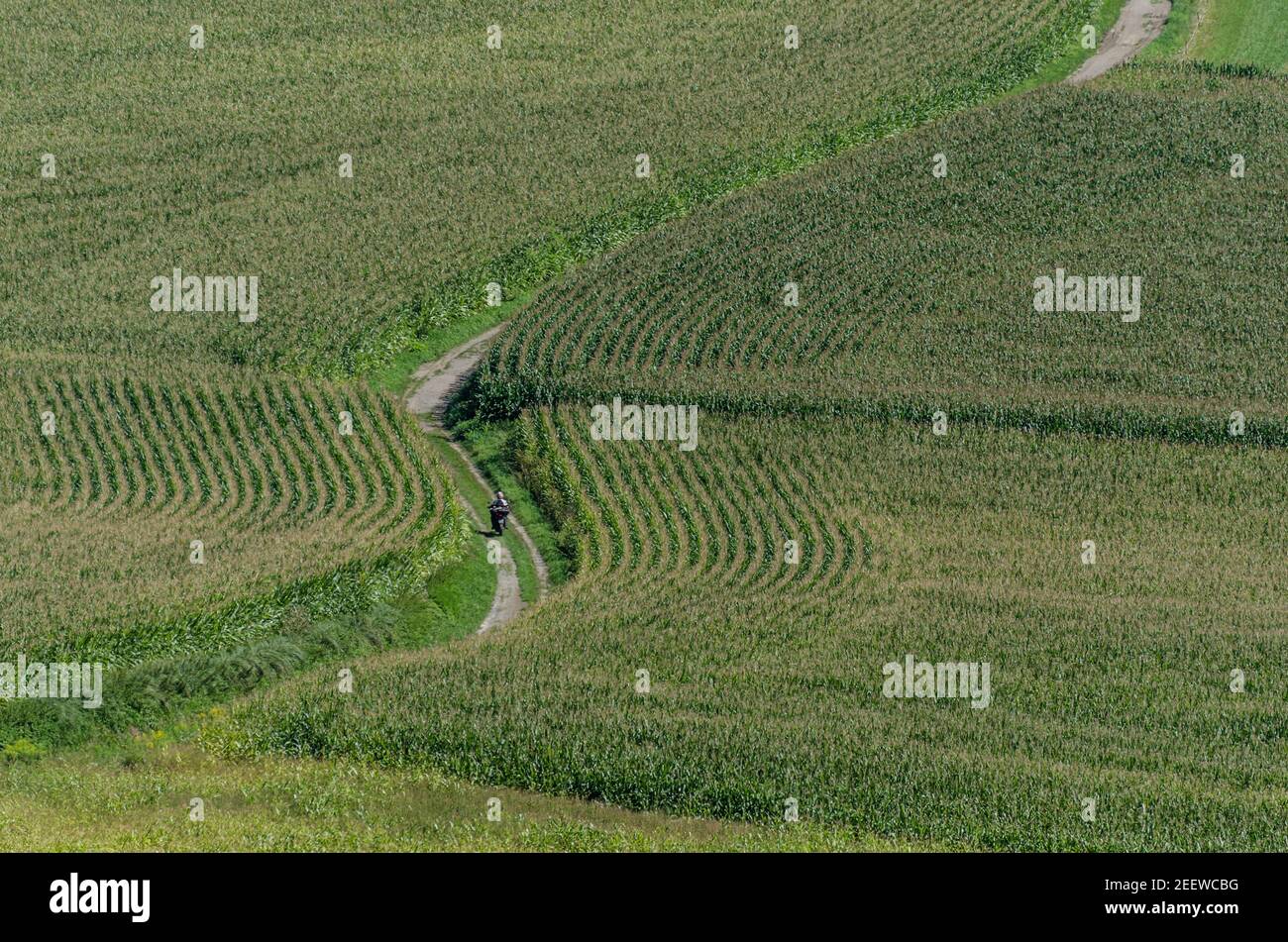 curved path and motorcycle in summer Stock Photo - Alamy