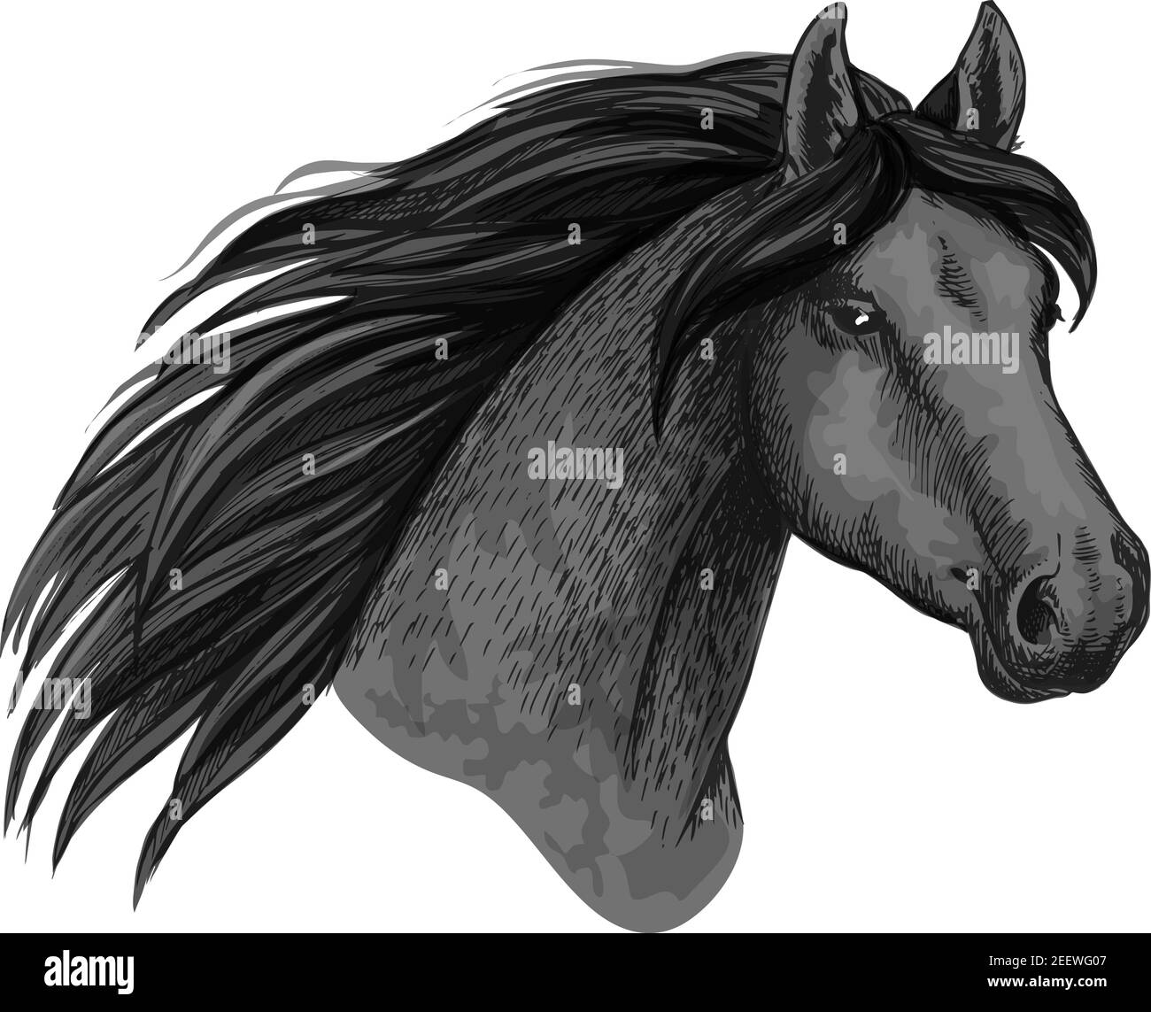 Horse or mustang head with wavy mane sketch isolated icon. Vector wild ...