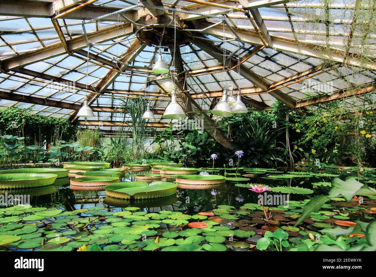 Botanical Garden BIN RAS during the daytime Stock Photo - Alamy
