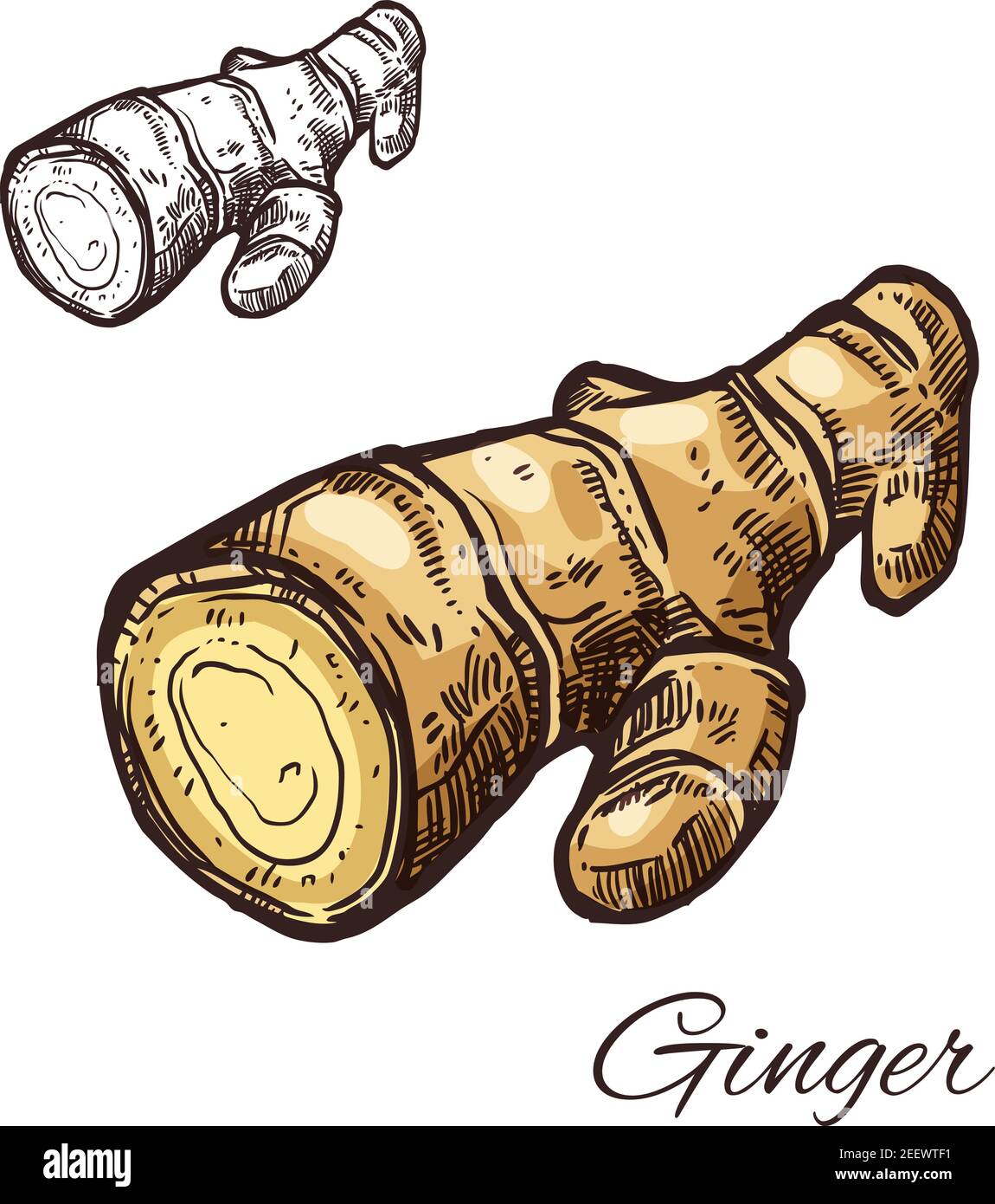 Indian folk medicine Stock Vector Images - Alamy