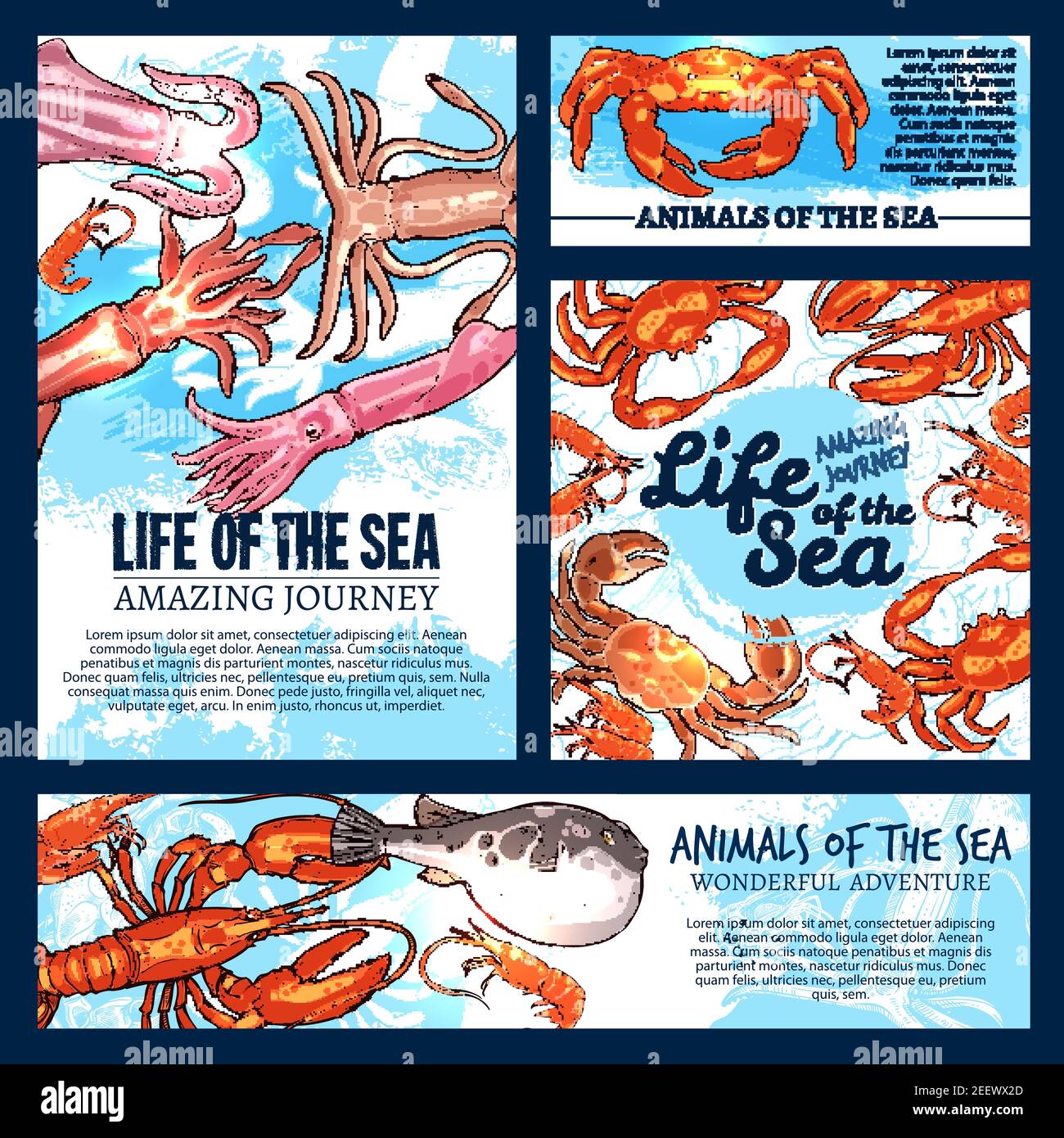 Crustaceans and coral Stock Vector Images - Alamy