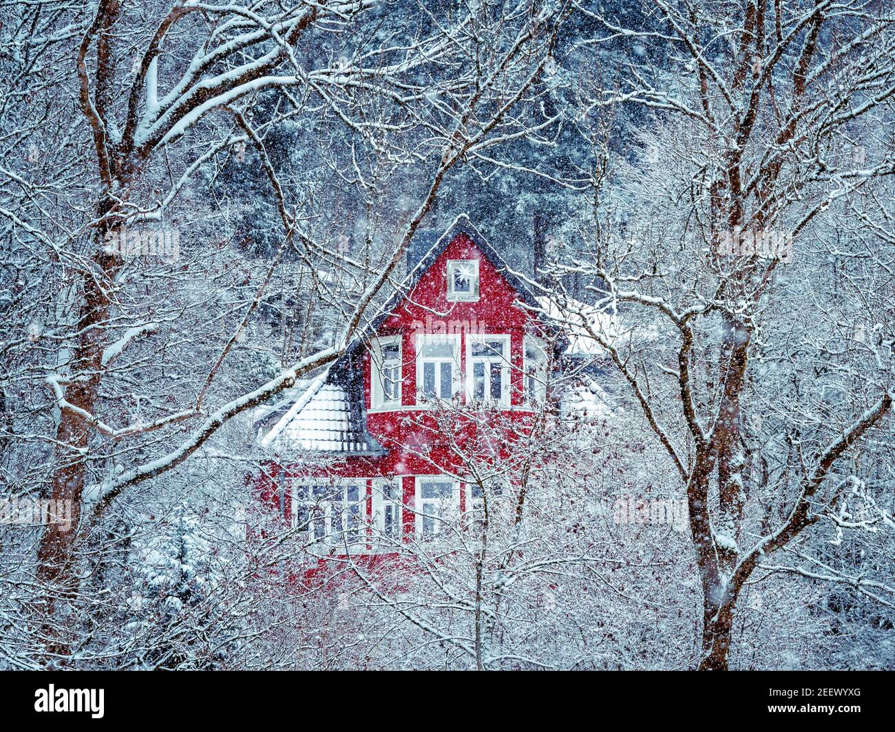 Beautiful view of a house in a forest surrounded by trees covered with ...