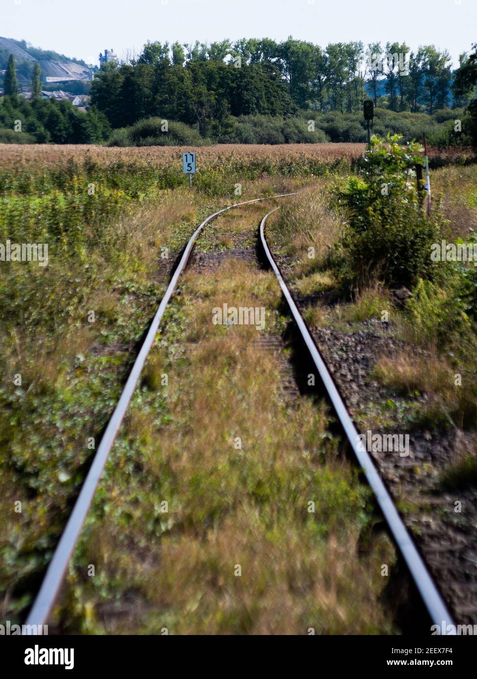 Grass overgrown track hi-res stock photography and images - Alamy