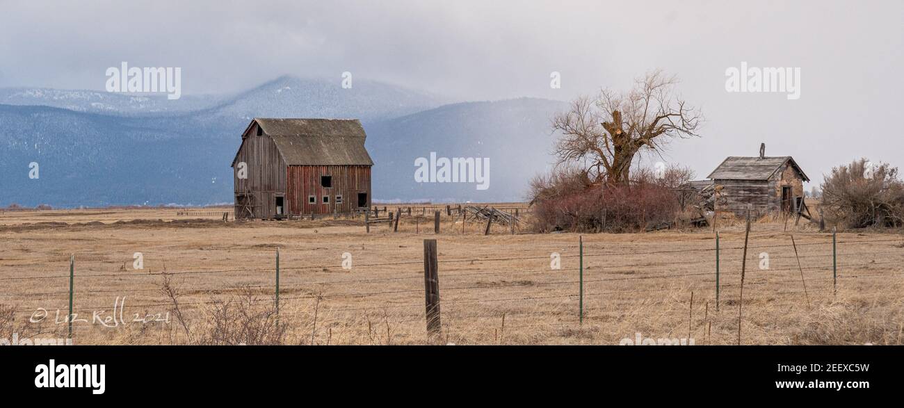 Rural landscape with fog hi-res stock photography and images - Alamy