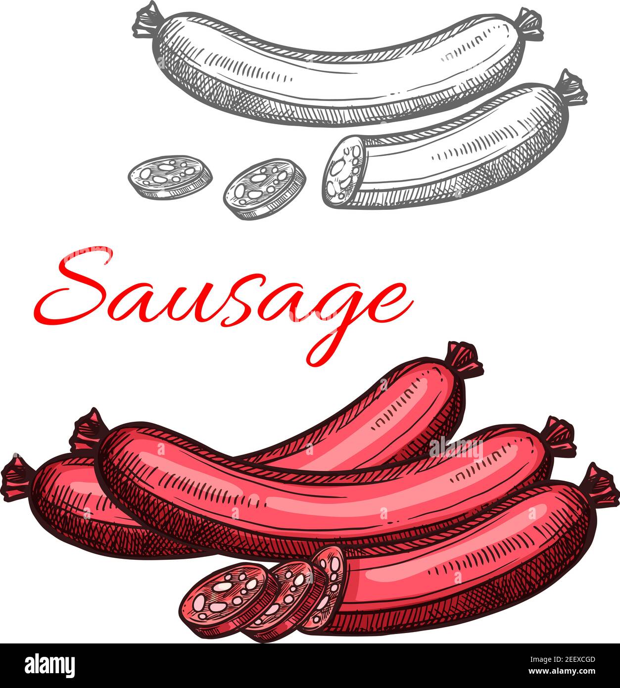 Beef sausage isolated sketch of fresh meat product. Smoked meat sausage ...