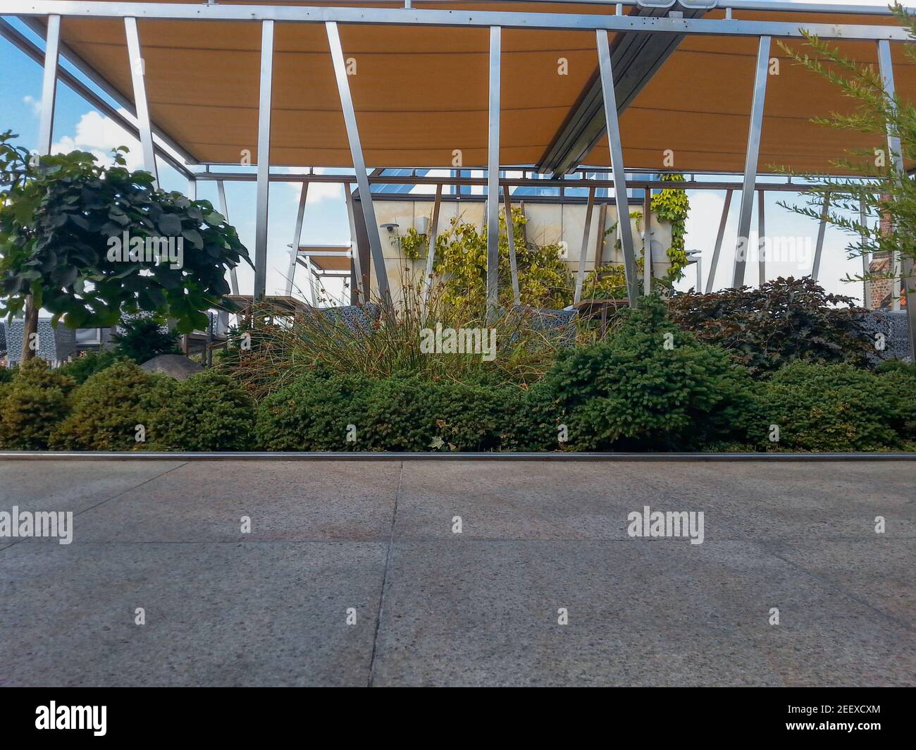 Concrete terrace on roof with bushes and plants in garden Stock Photo ...