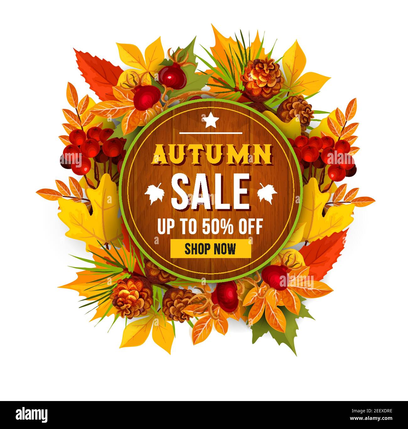 Birch t Stock Vector Images - Alamy