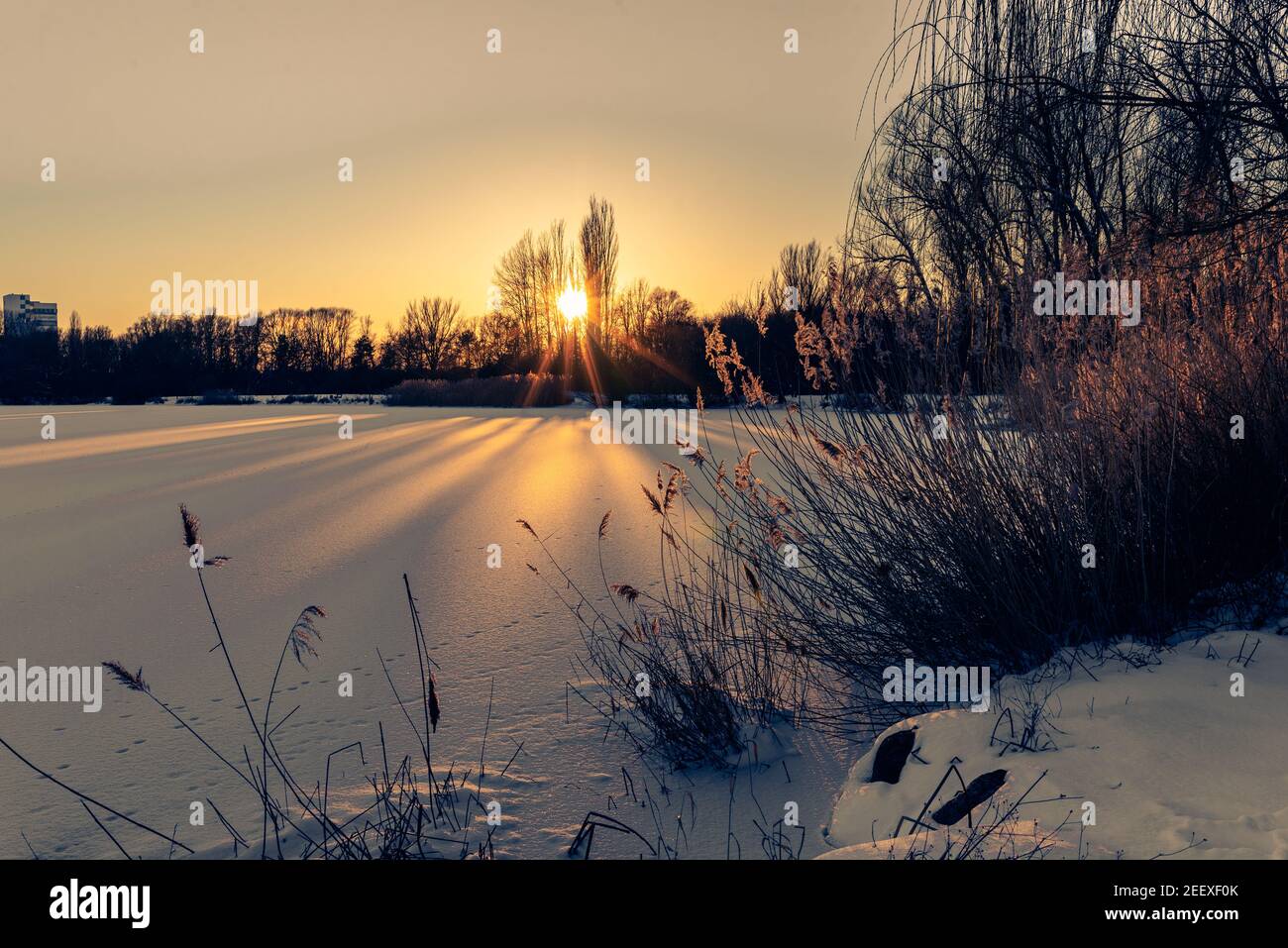 Sunset on the frozen lake. Sun rays illuminate the frozen lake Stock ...