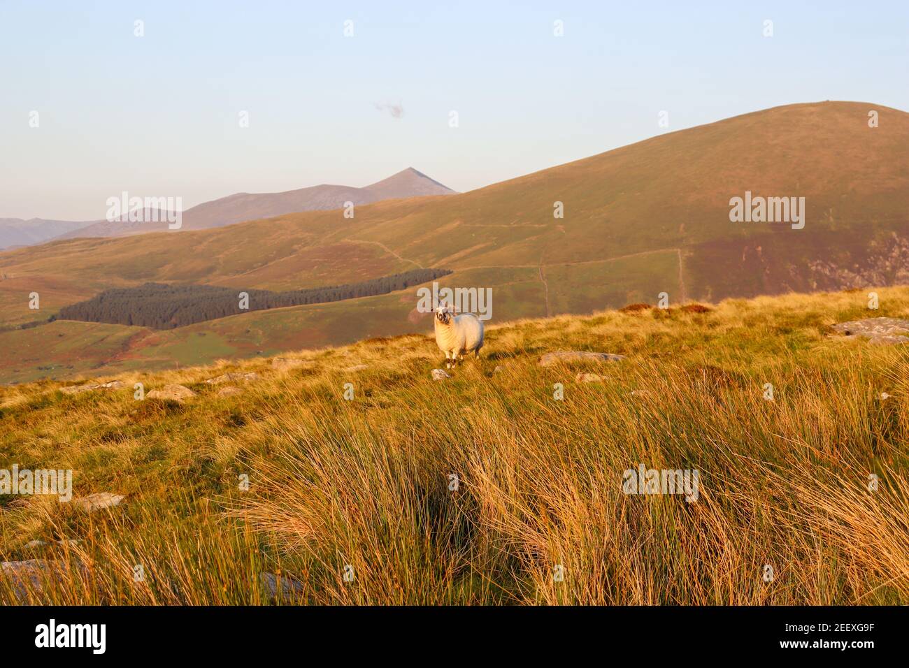Rhosgadfan High Resolution Stock Photography and Images - Alamy