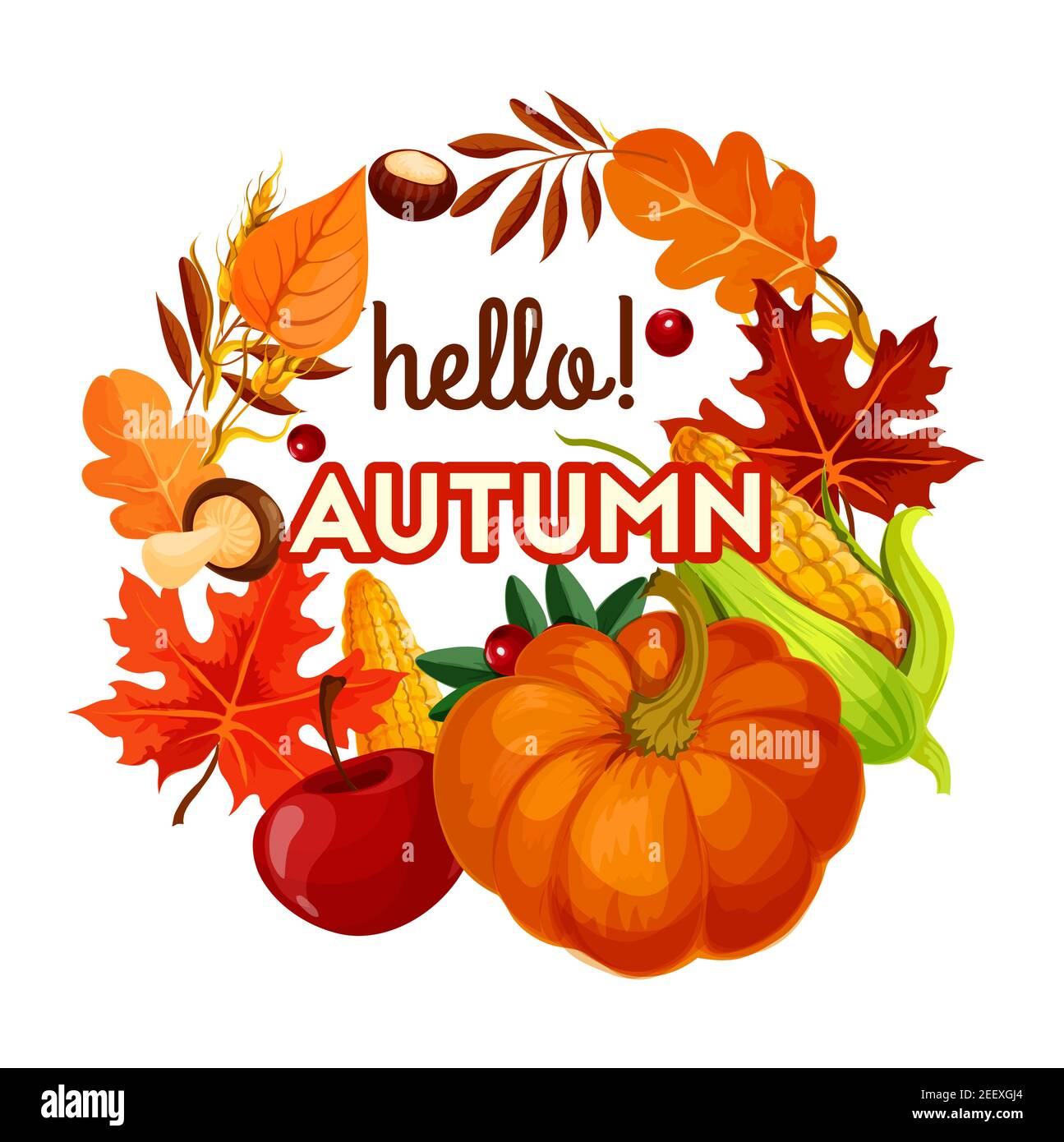 Fruit of a maple tree Stock Vector Images - Alamy