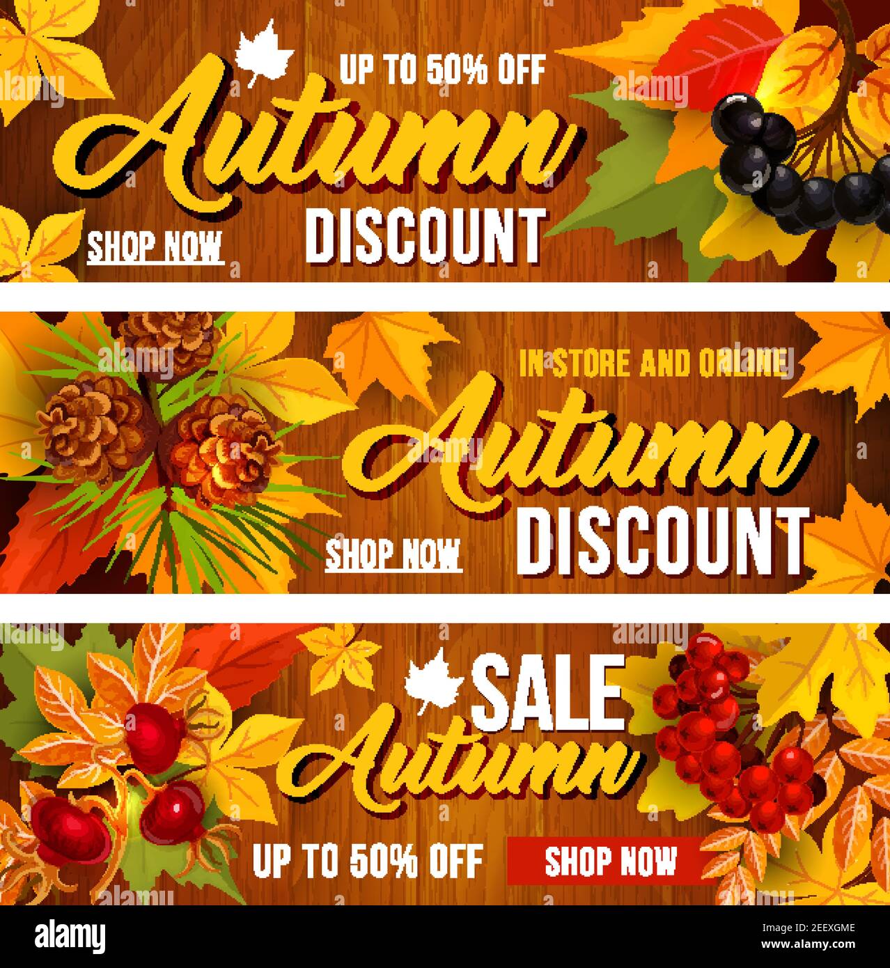 50 le Stock Vector Images - Alamy