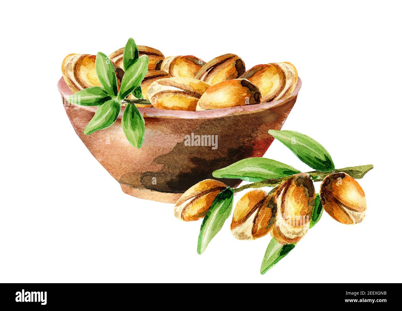 Nuts for skin health Cut Out Stock Images & Pictures - Alamy