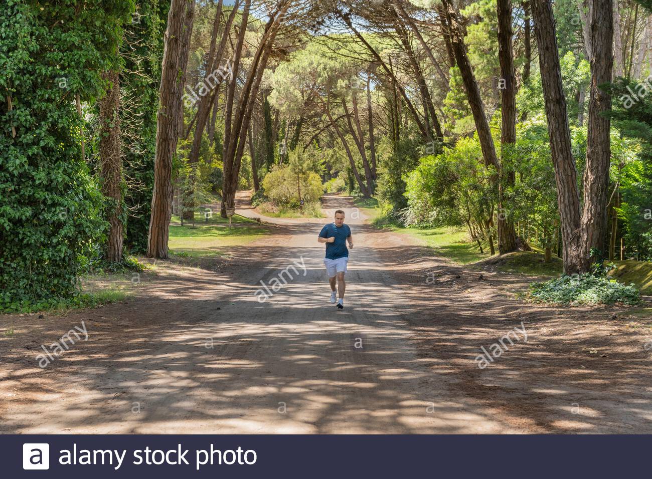 Front View of a man running outdoors training for Marathon Stock Photo ...
