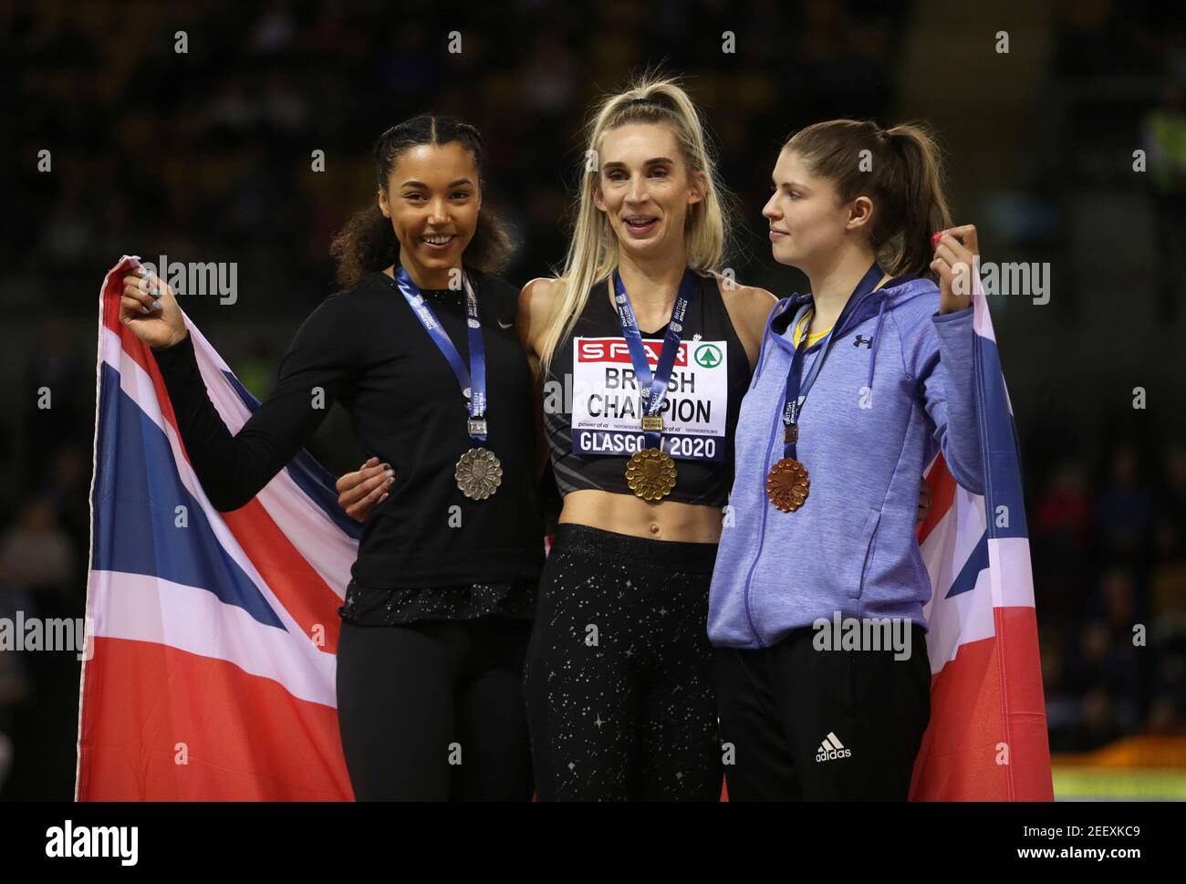 Gold Partridge High Resolution Stock Photography and Images - Alamy