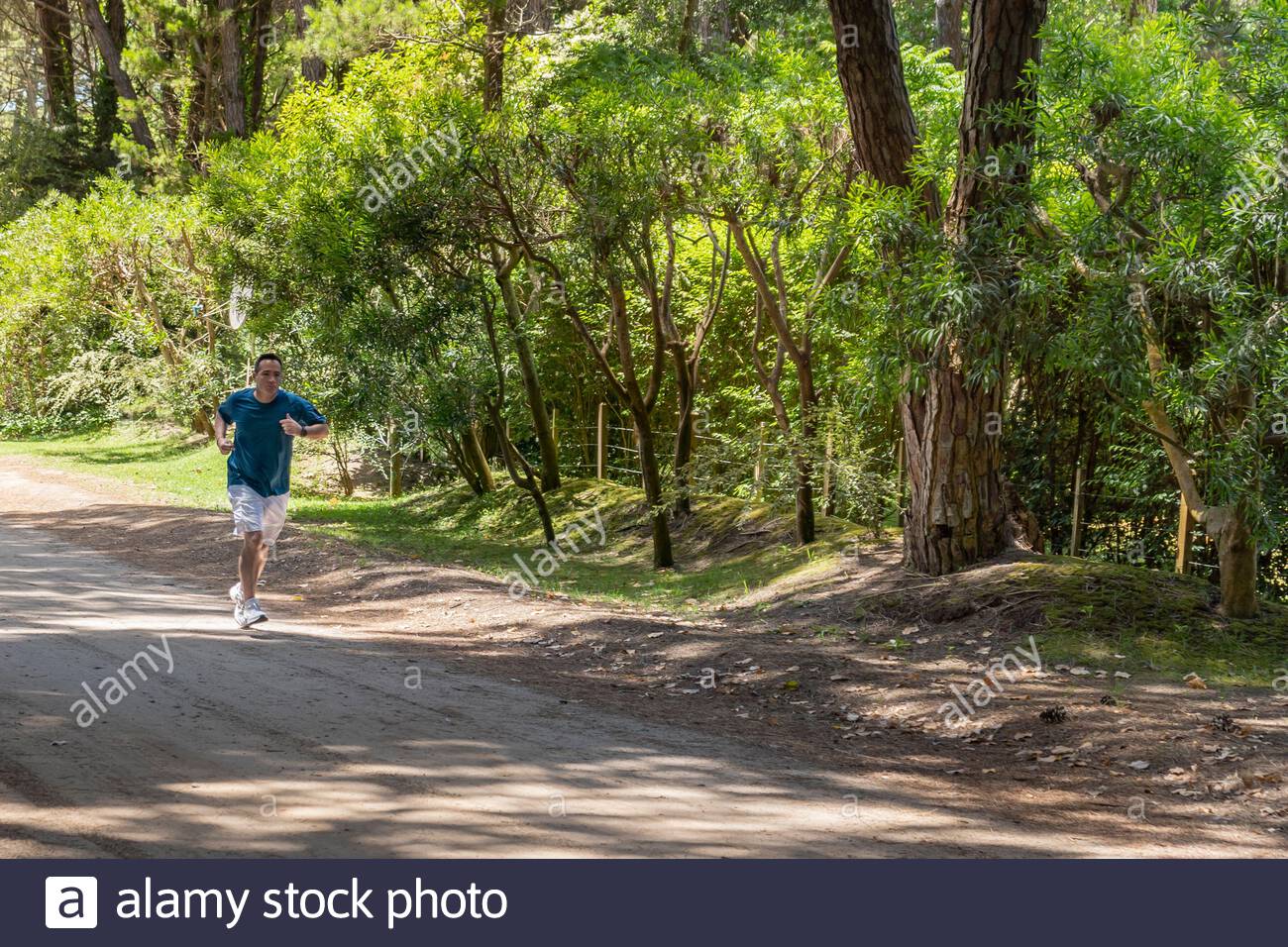 Male athlete running fast in hi-res stock photography and images - Alamy